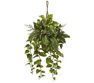 NEARLY NATURAL Pothos And Boston Fern In Hanging Basket Nea Rly Natural
