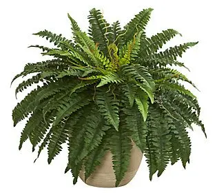 NEARLY NATURAL 22' Boston Fern Plant In Planter Nearly Natu Ral
