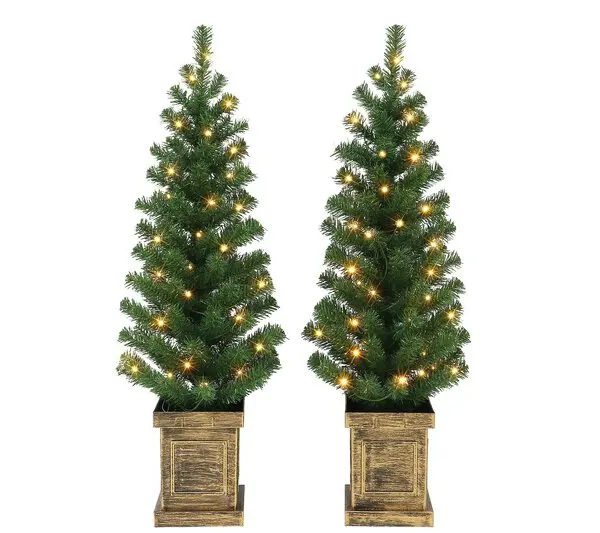 PULEO INTERNATIONAL Puleo Set Of 2, 3.5' B/o Potted Prelit Trees, 9 0 Tips