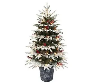 PULEO INTERNATIONAL Puleo 4.5' Pre-lit Potted Flocked Halifax Fir T Ee