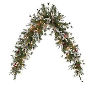 PULEO INTERNATIONAL Puleo 6' Pe/pvc Decorated Swag,100 Ul Clear Inc Ndescent
