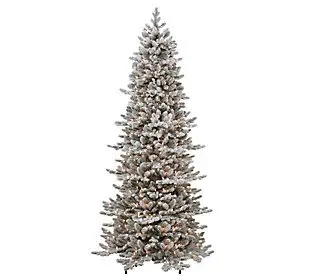 PULEO INTERNATIONAL Puleo Pre-lit 7.5' Flocked Royal Majestic Dougl As Spruce Tree