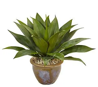 NEARLY NATURAL Agave In Glazed Clay Pot By