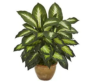 NEARLY NATURAL Dieffenbachia Artificial Plant In Planter Ne Arly Natural