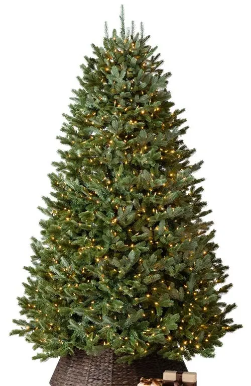 BALSAM HILL Bh Fraser Fir® Pre-lit Artificial Tree - Led Clear