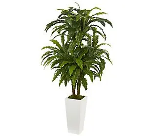 NEARLY NATURAL Marginatum Plant In White Tower Planter Near Ly Natural