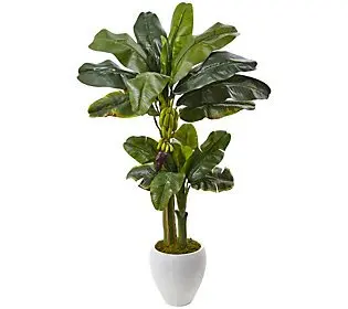 NEARLY NATURAL Double Stalk Banana Tree In White Planter Ne Arly Natural