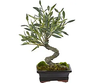 NEARLY NATURAL Mini Olive Artificial Bonsai Tree Nearly Nat Ural