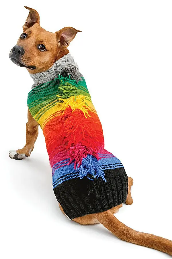 CHILLY DOG Mohawk Dog Sweater
