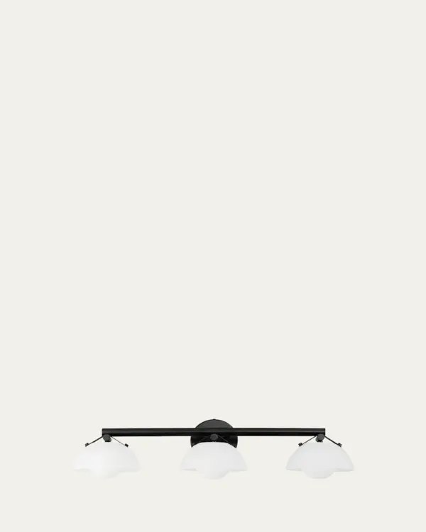 Studio M Mat Sanders Design From Domain 3-light Wall Sconce Frost - Black