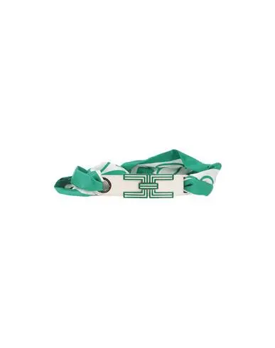 Elisabetta Franchi Corset Belt - Green