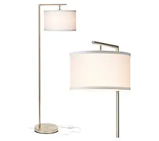 BRIGHTECH Montage Modern 60'h Rose Gold Led Flo R Lamp