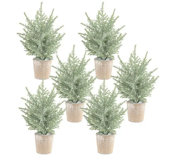 MELROSE Frosted Holiday Pine Tree In Paper Pot Et Of 6
