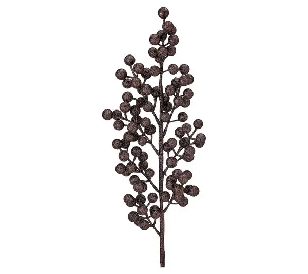 VALERIE PARR HILL 24' Cluster Berry Spike