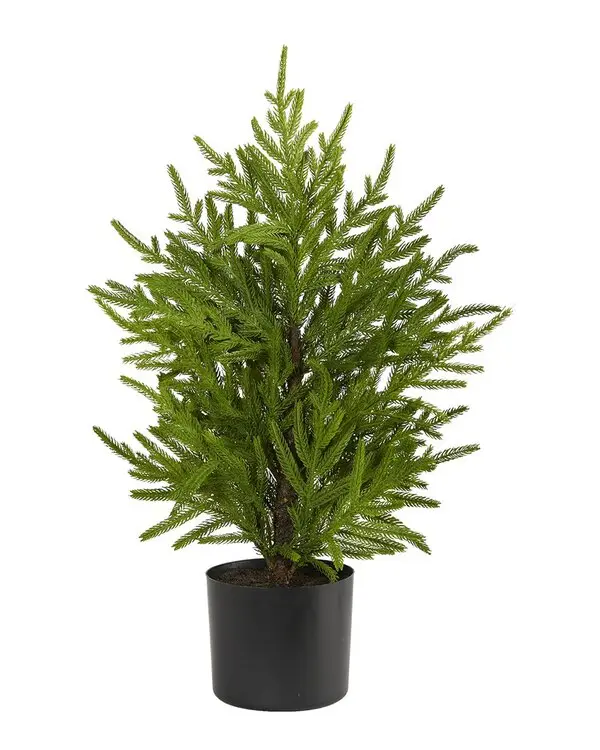 Buy NEARLY NATURAL 2ft Norfolk Island Pine Natural Look Artificial Tree