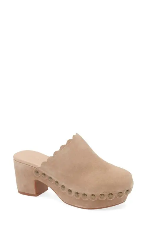 CHOCOLAT BLU Gareth Platform Mule - Latte Suede-shearling