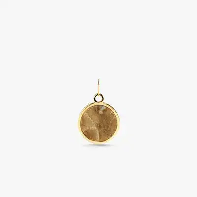 Shinola Round Plaque Charm W Petoskey Stone 14k Gold Engravable