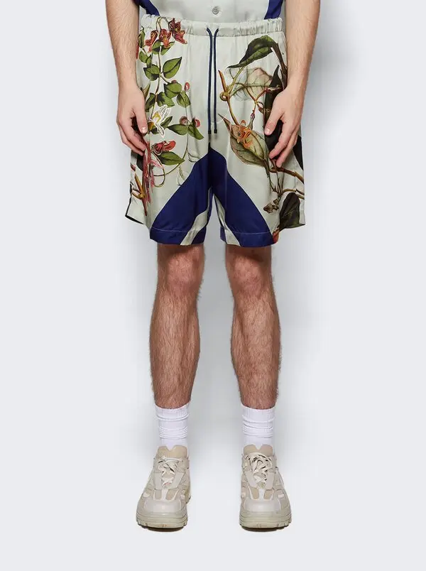 Dries Van Noten Piperi Printed Shorts - Grey