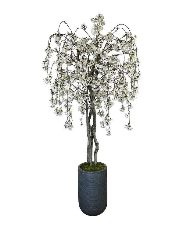 Buy Creative Displays 5ft Cherry Blossom Tree In Round Fiberstone ...
