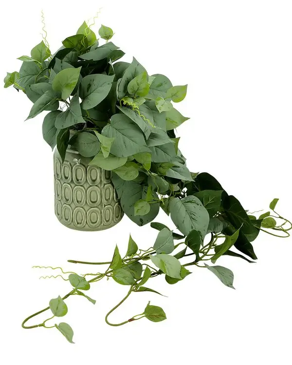Buy Creative Displays Frosted Ivy Arrangement - Green At 40% Off ...