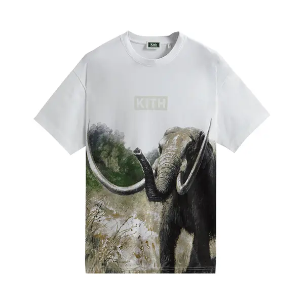 Kith For Amnh Late Mammals Vintage Tee - White