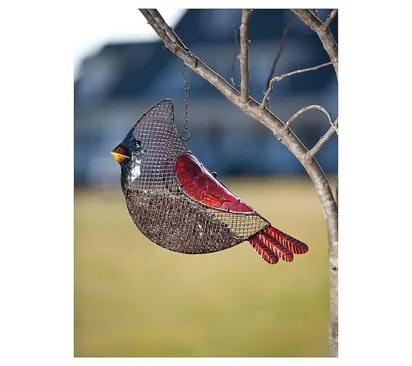 EVERGREEN Cardinal Bird Seed Feeder