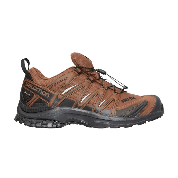 SALOMON And Wander X Xa Pro 3d Gore-tex Sneakers - Brown