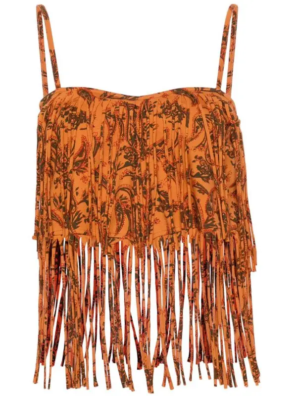 Alanui Monsoon Paisley-print Cropped Top