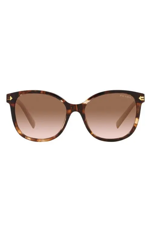 Prada 53mm Square Sunglasses