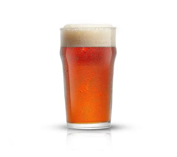 JOYJOLT Grant Pint Beer Drinking Glasses 19.2-oz Se T Of 8
