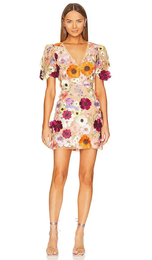 ELLIATT Rosalind Mini Dress - Multi