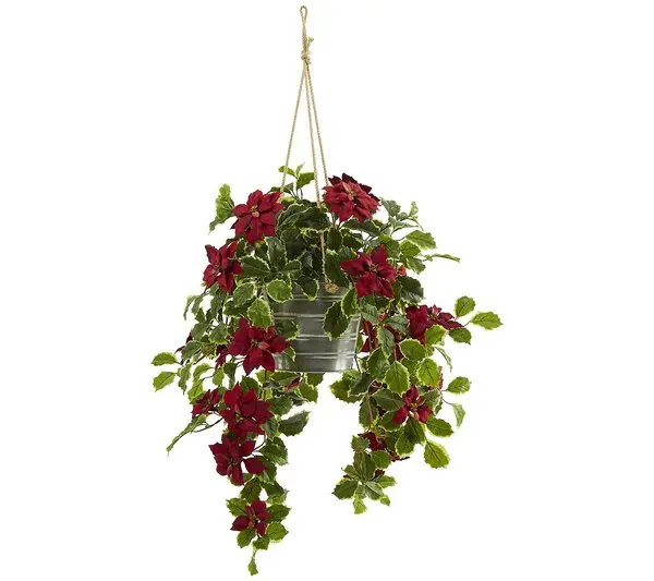 NEARLY NATURAL 3.5' Poinsettia And Variegated Holly In Hanging Bucket