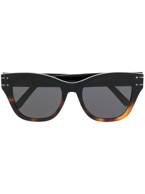 Dior Signature B41 Sunglasses Black Editorialist