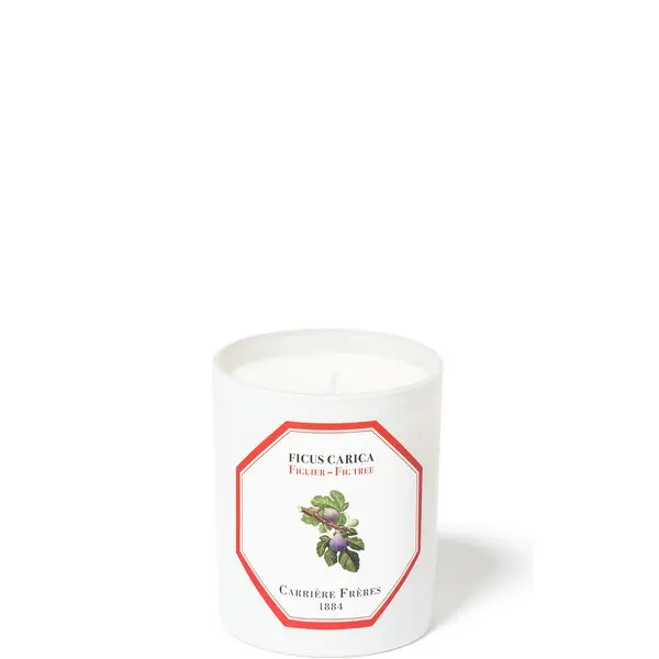 CARRIERE FRERES Carrière Frères Scented Candle Fig Treeficus Carica6.5 Oz