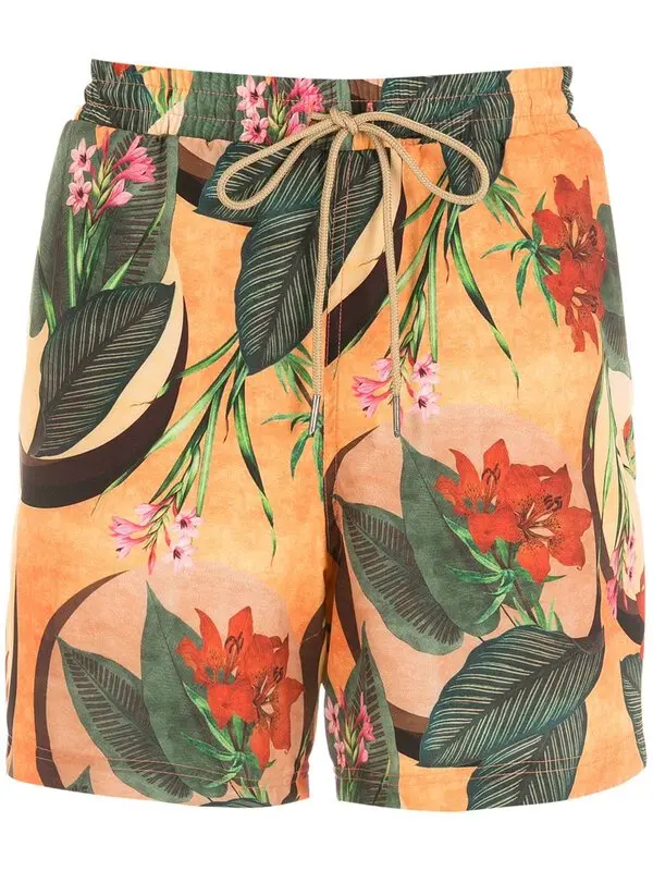 LYGIA & NANNY Gil Tropical Foliage-print Swimming Shorts - Yellow