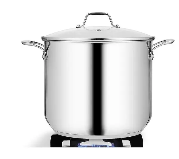 NUTRICHEF 19-qt Induction Pot With Lid