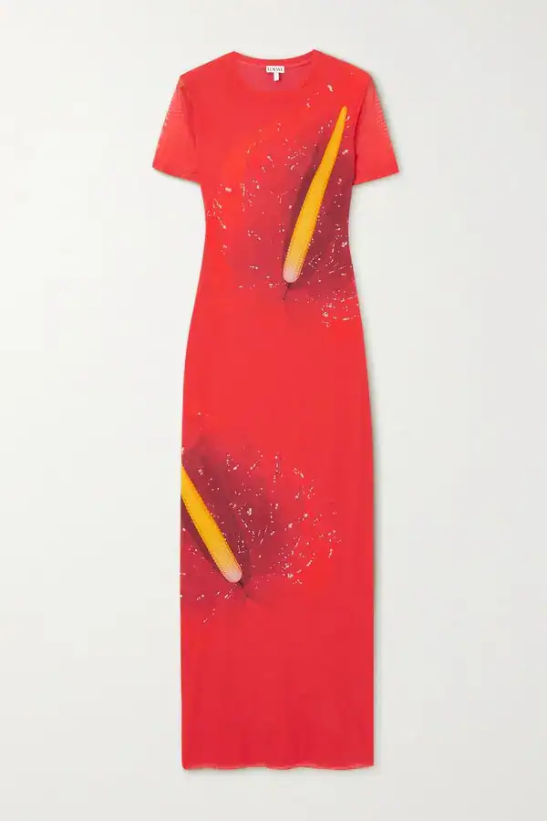 Loewe Anthurium Floral-Print Stretch-Mesh Maxi Dress In Red - 30% Off |  Editorialist