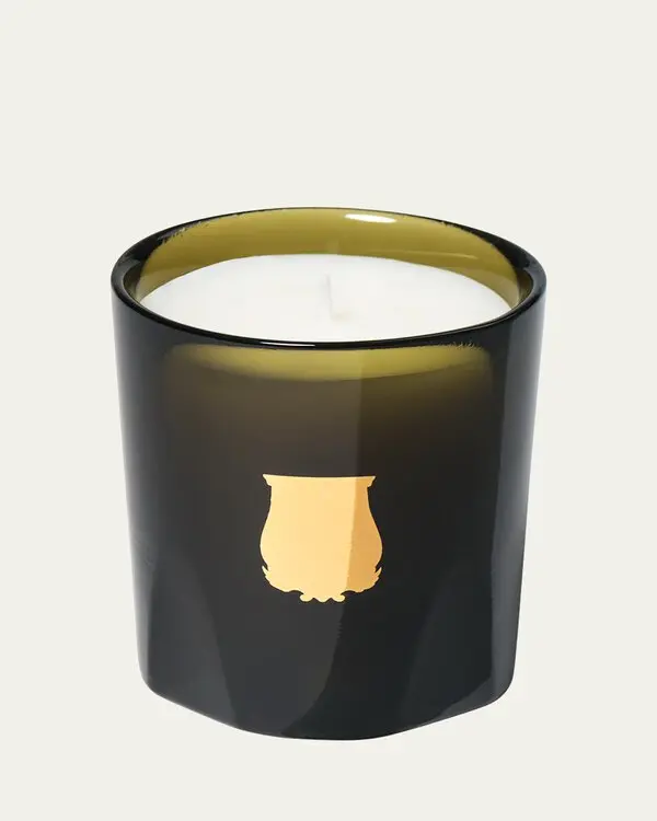 TRUDON Gabriel Petit Candle, Gourmand Chimney Fire - One-color