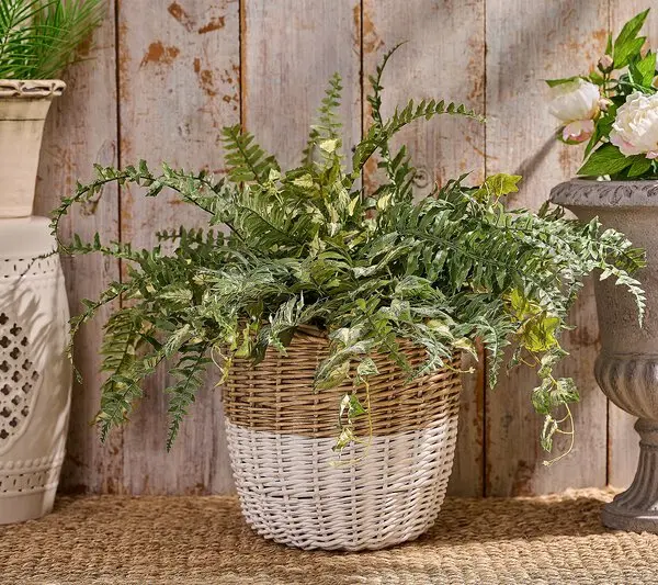 VALERIE PARR HILL As Is 21 Mixed Fern Urn Filler Valerie