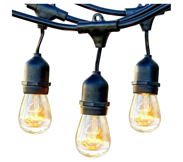 BRIGHTECH Ambience Pro Incandescent 11w S14 24' String Lights