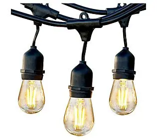 BRIGHTECH Ambience Pro Led 2w S14 24' Hanging S Ring Lights