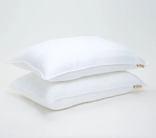 The Northern Classique™ Side Sleeper Pillow (Set of 2) main image 0