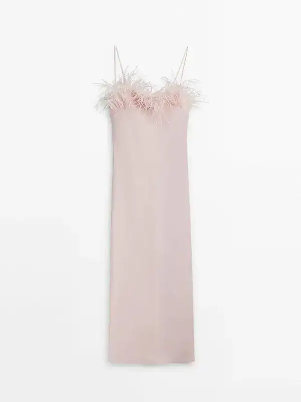 Massimo Dutti Long Dress With Feather Details -Studio In Pastel