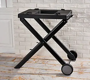 Ninja Woodfire Collapsible Grill Stand - One-Color | Editorialist