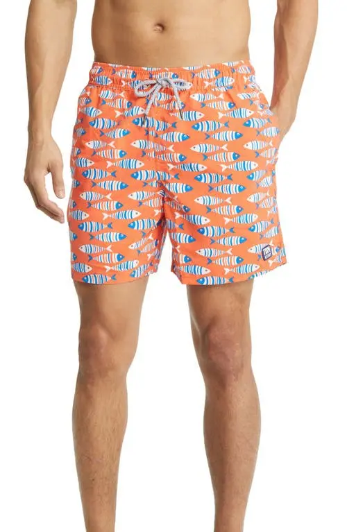 TOM & TEDDY Fish Print Swim Trunks