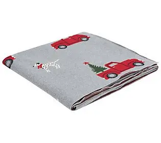 SAFAVIEH Dasher Throw