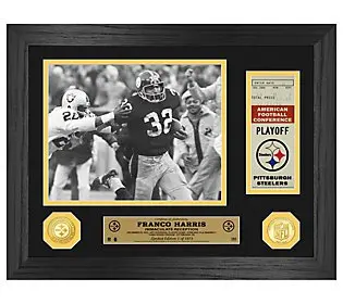 HIGHLAND MINT Franco Harris Immaculate Receptio Collectible