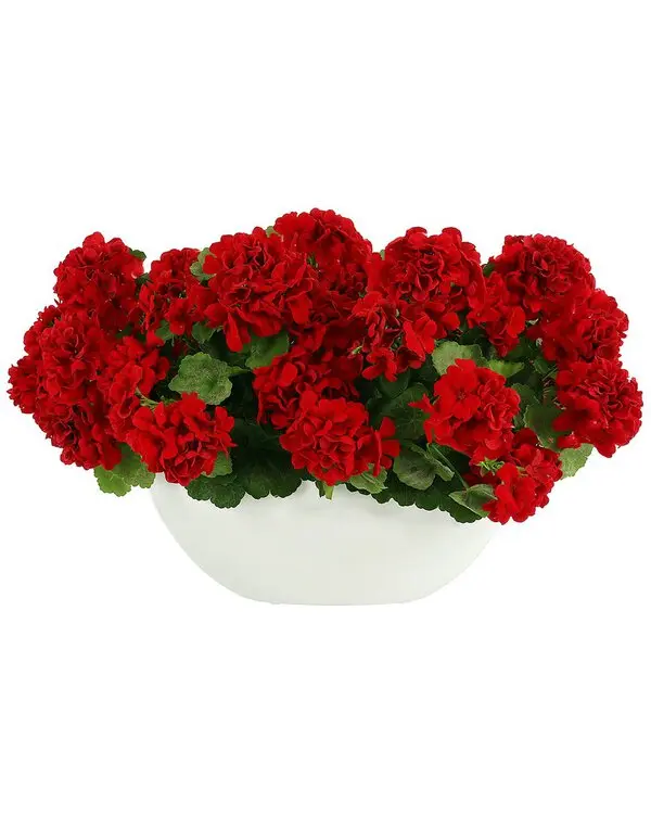 Buy Creative Displays Discontinued Uv Protected Outdoor Geranium Flower ...