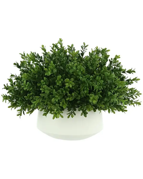 Buy Creative Displays Boxwood Arrangement - Green At 42% Off | Editorialist