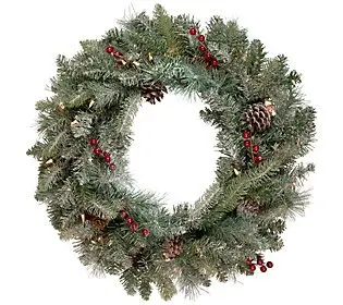 NORTHLIGHT Snowy Waterloo Pine 24-inch Wreath W / Clear Lights